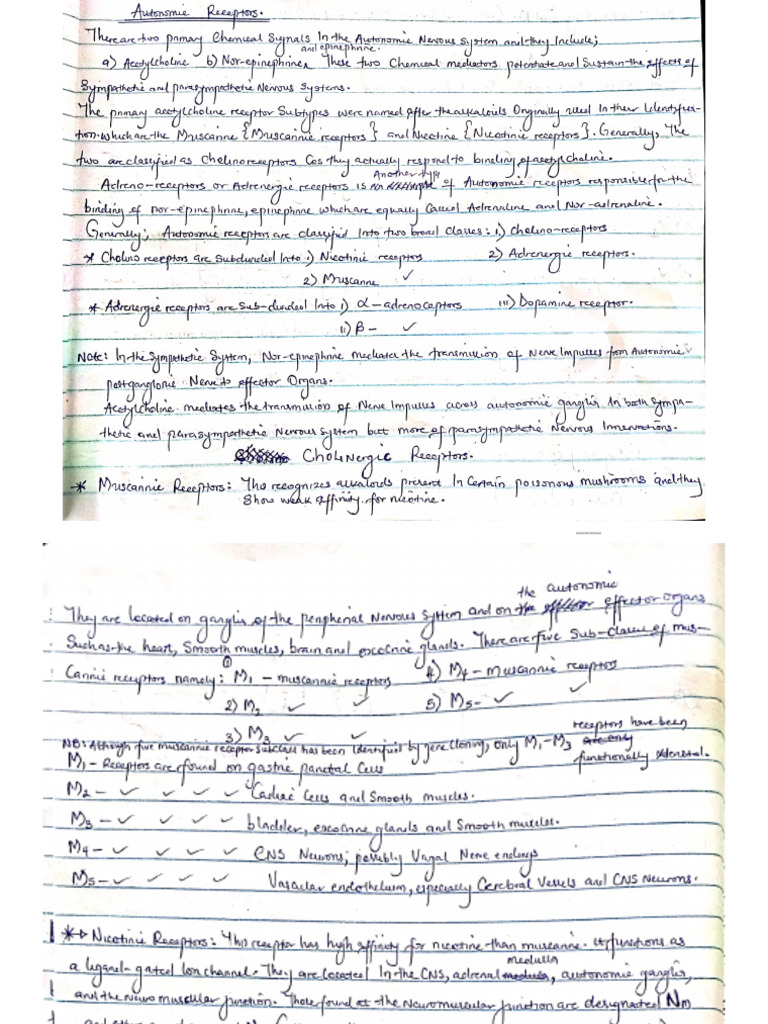 Autonomic Receptors | PDF