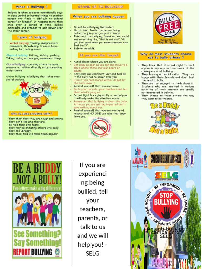 Anti Bullying Brochure | PDF