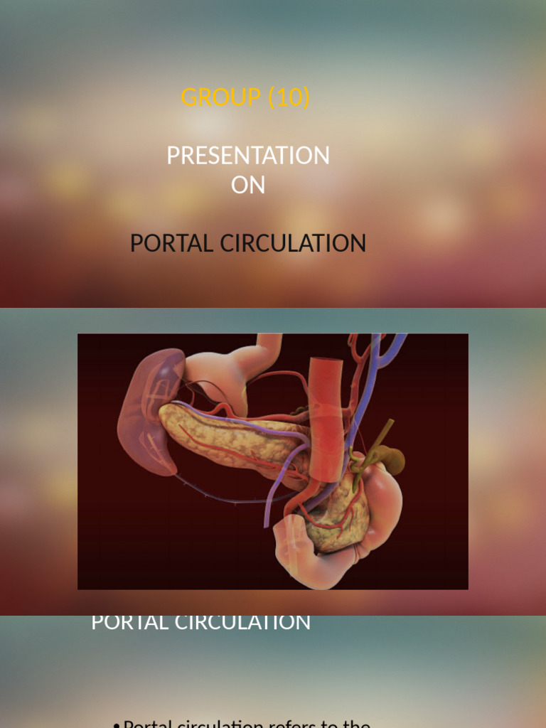 Understanding Portal Circulation Steps | PDF