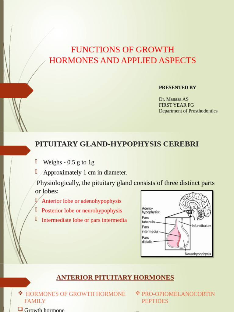 Growth Hormone and It's Function and Production | PDF | Growth Hormone ...