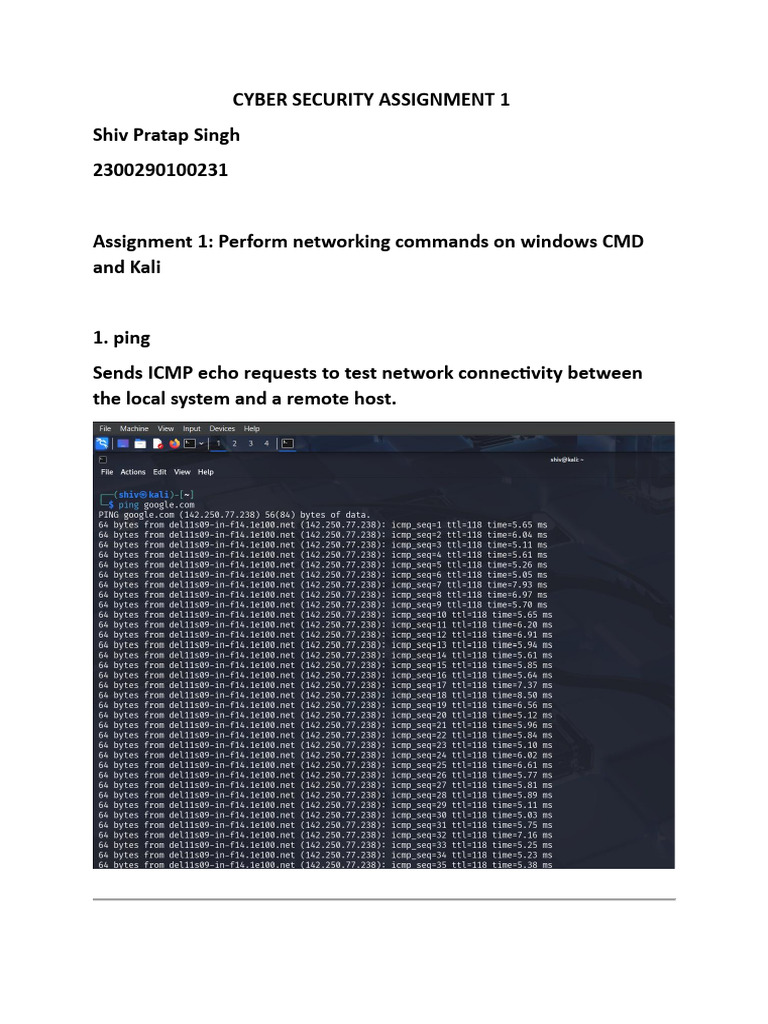 Cyber Security Assignment 1 | PDF