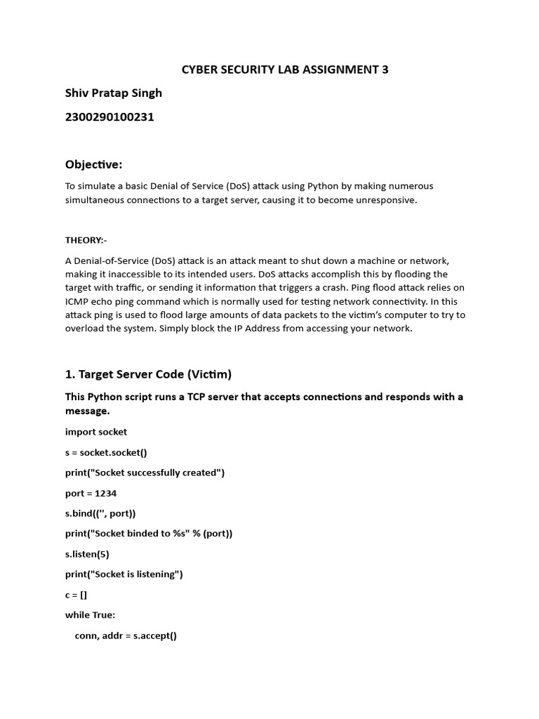 Simulating DoS Attack with Python | PDF