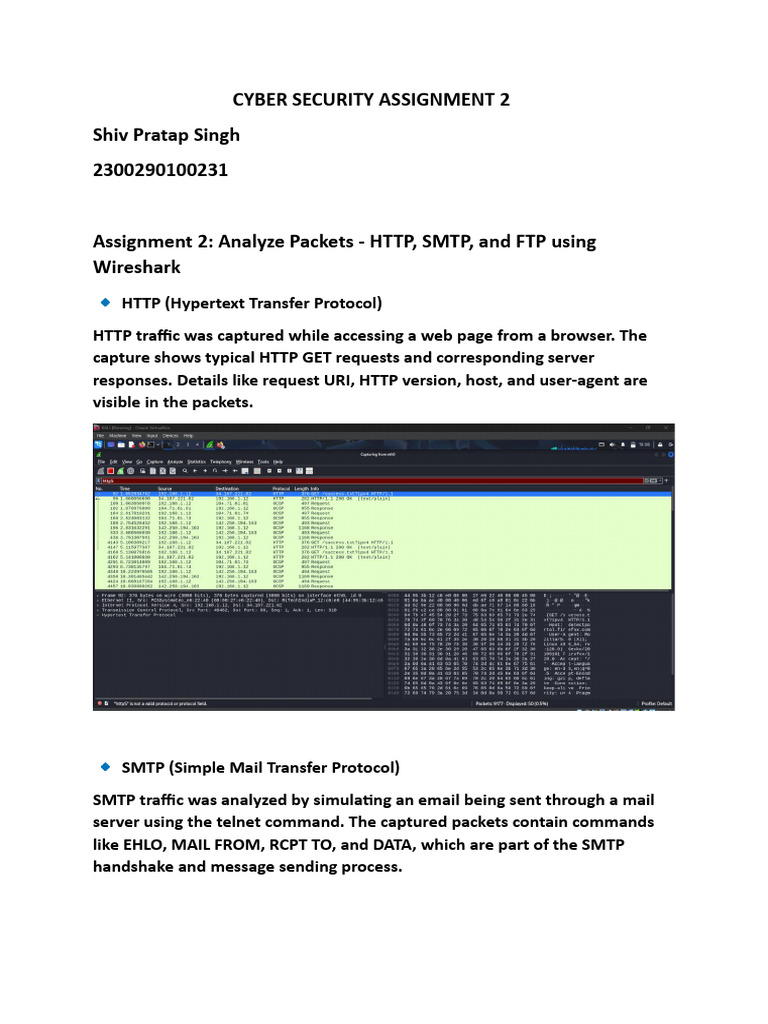 Cyber Security Assignment 2 | PDF