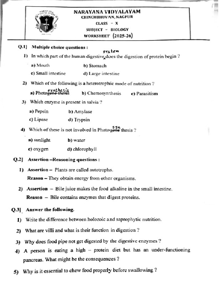 Bio Worksheet | PDF