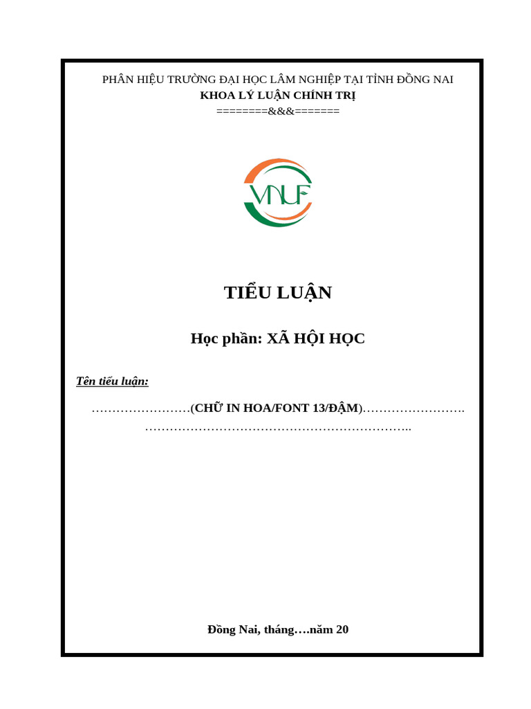 Mau Bao Cao Tieu Luan | PDF