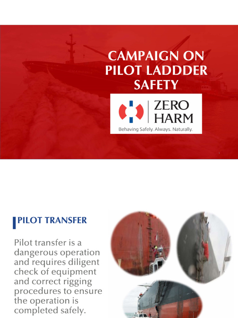 Safety Campaign - Pilot Ladder | PDF