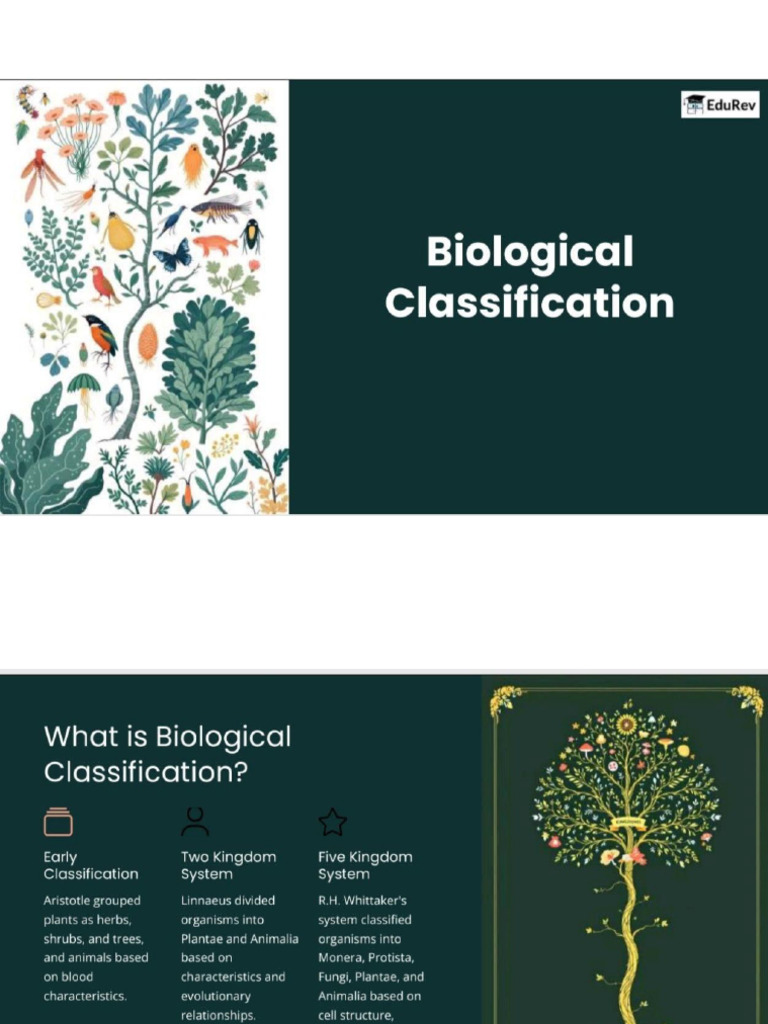 Biological Classification PPT by EduRev | PDF