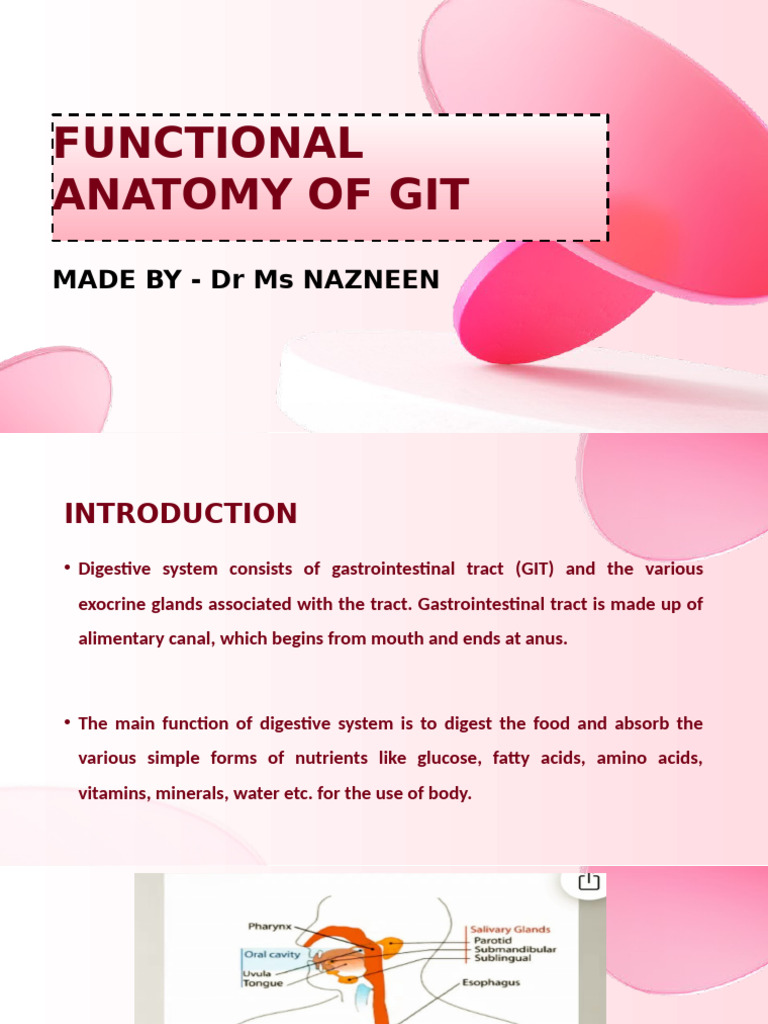 Functional Anatomy of the GIT | PDF | Human Digestive System ...