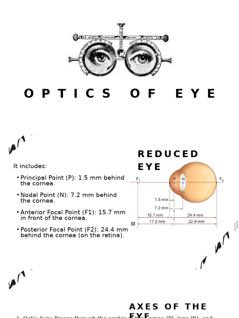 Axes and Angles of the Eye Explained | PDF