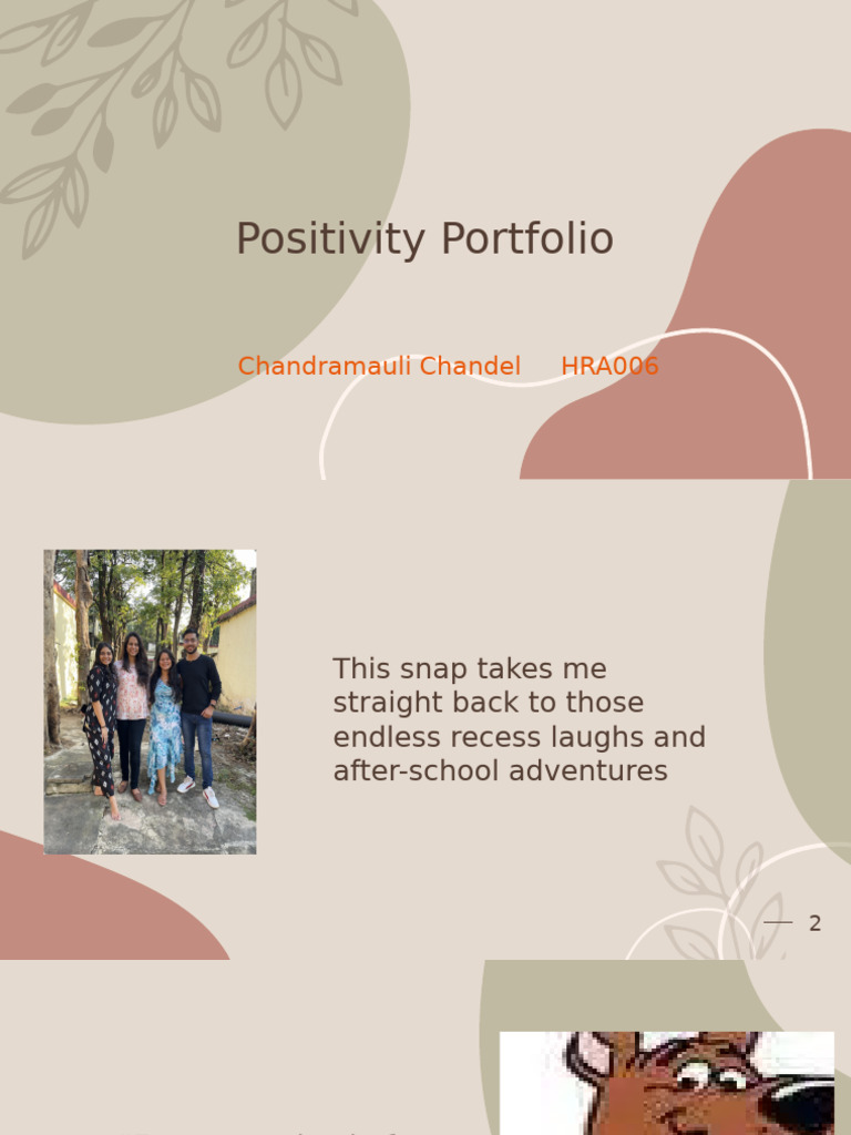 Positivity Portfolio HRA006 | PDF
