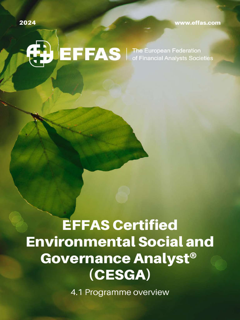 CESGA 4.1 Brochure NEW Compressed | PDF | Valuation (Finance) | Economies