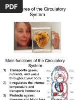 Step-by-Step FESS Surgical Guide | PDF | Human Nose | Human Head And Neck