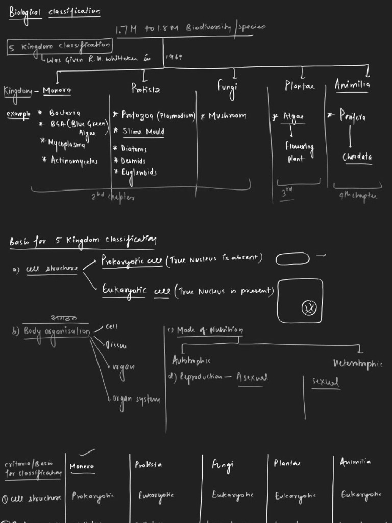 1 (1) - Invert (5) - Invert | PDF
