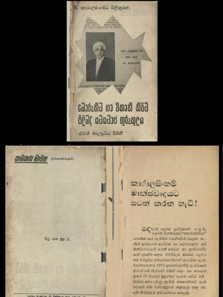 Keerthi Balasuriya - A Reply To V. Karalasingham | PDF