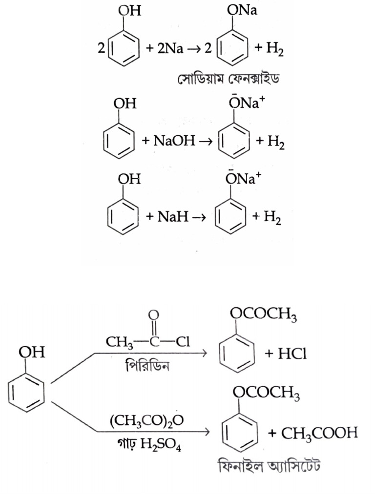 Phenol | PDF