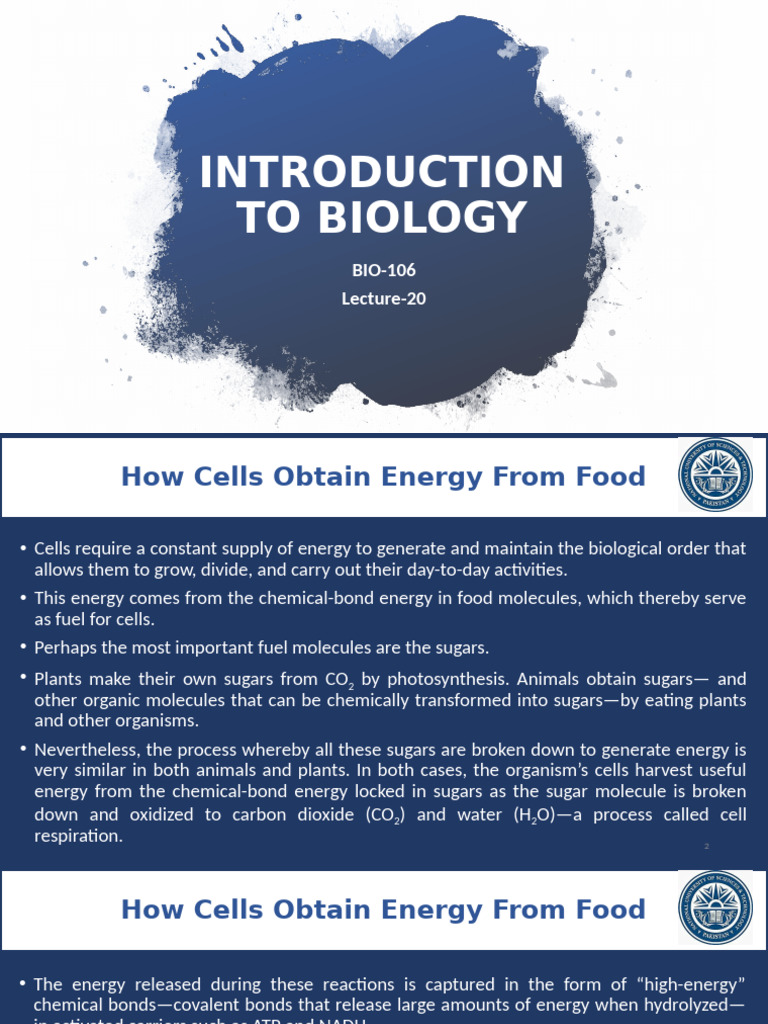 Energy Production in Cells Explained | PDF | Glycolysis | Cellular ...