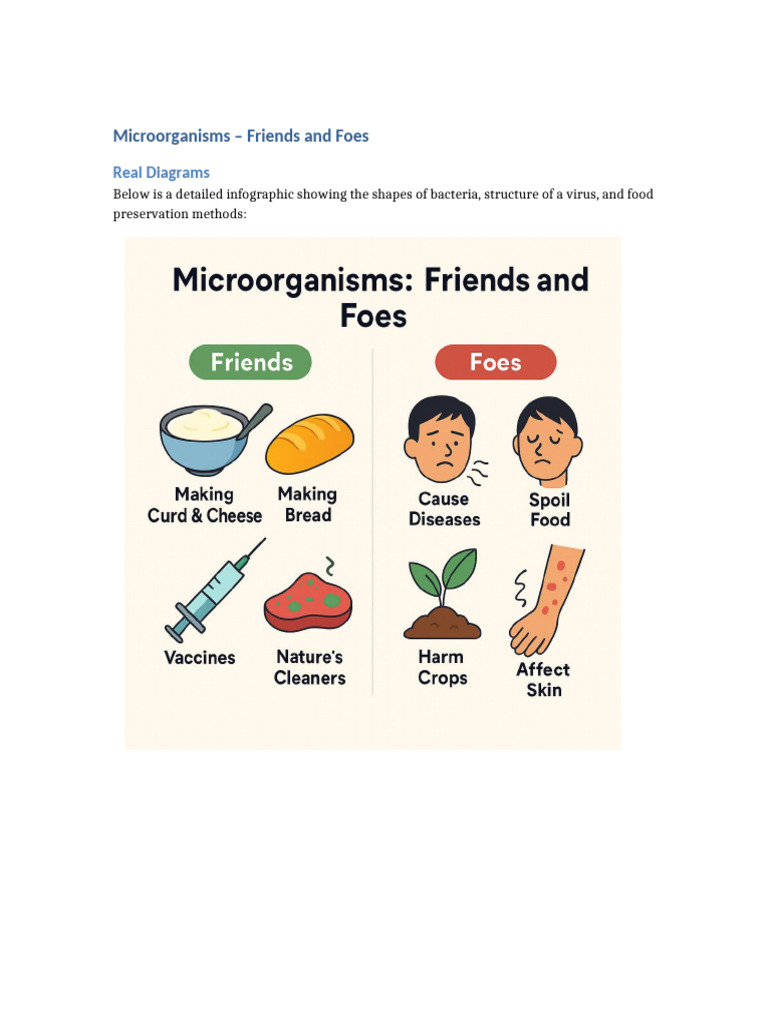Microorganisms Final Notes With Real Diagrams | PDF