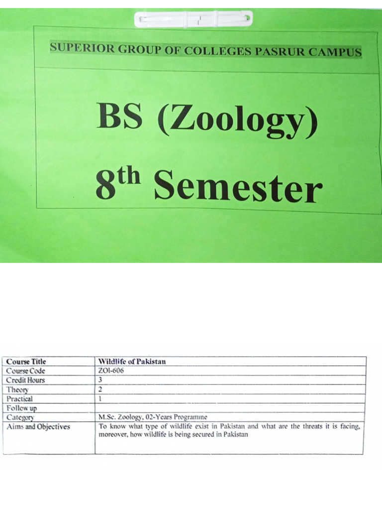 8th Semester Outline | PDF