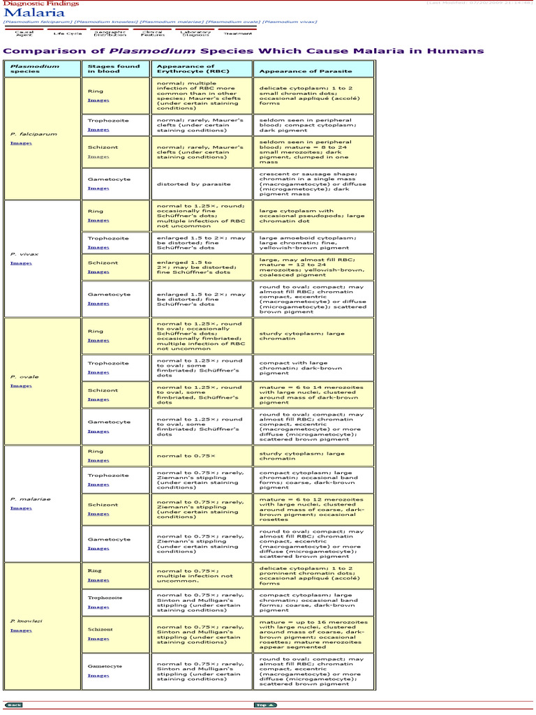 Malaria - Diagnostic Findings - Page 2 | PDF | Plasmodium | Plasmodium ...