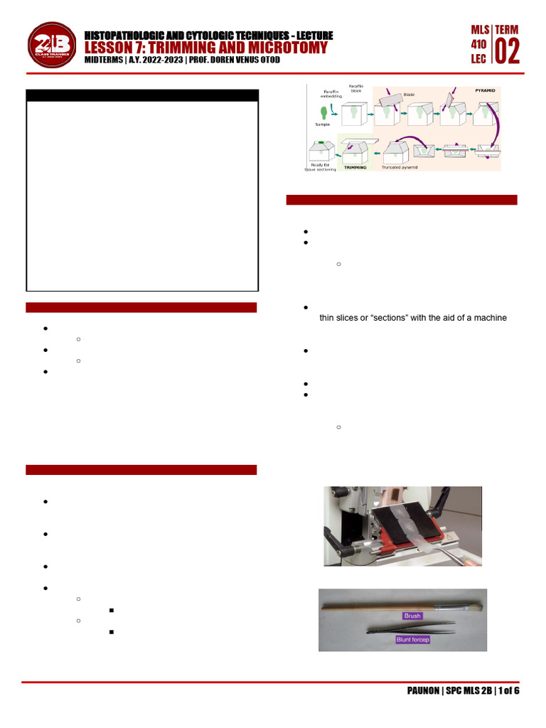 Trimming and Microtomy - SPC Mls 2b - Histopath Lec | PDF | Knife