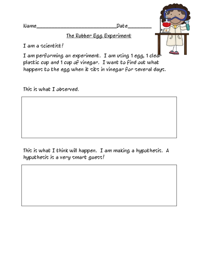 The Rubber Egg Experiment | PDF