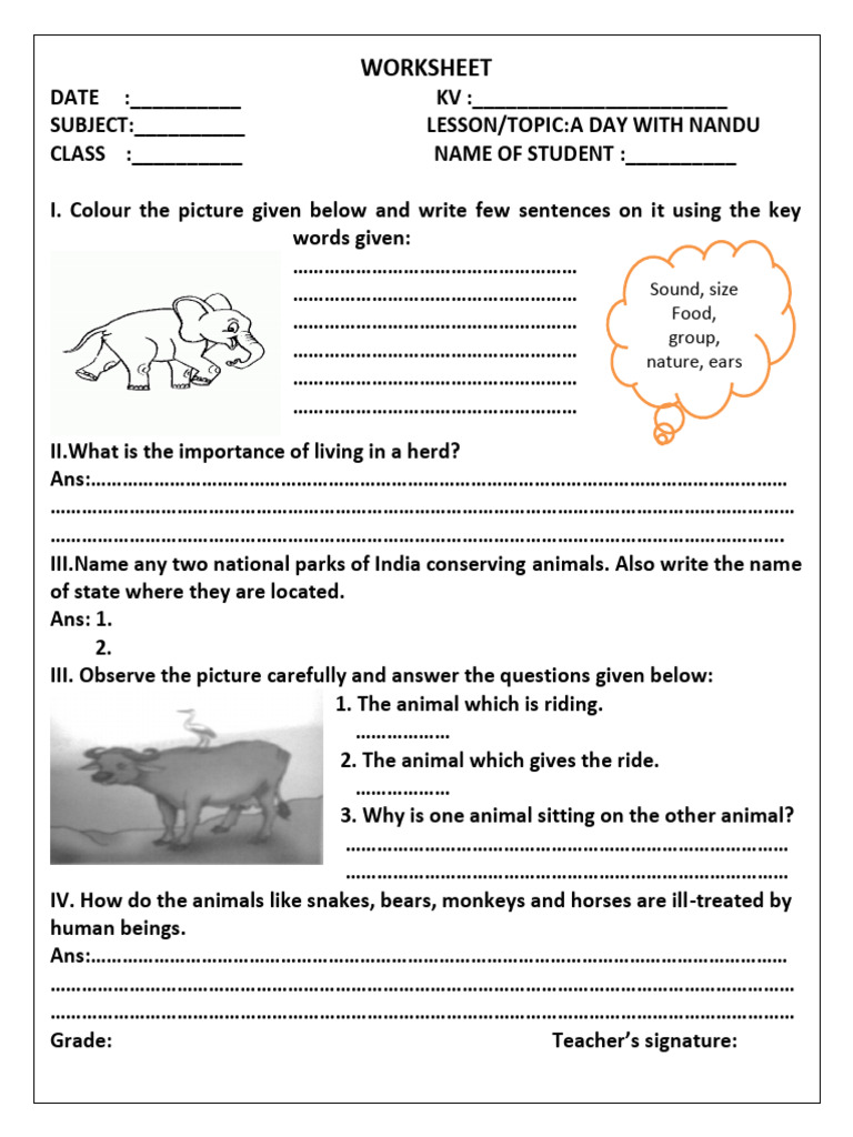CBSE Class 4 EVS Revision Worksheet - A Day With Nandu-1 | PDF ...