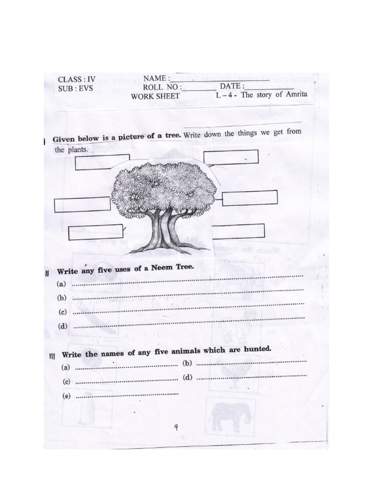 CBSE Class 4 EVS Revision Worksheet (18) - The Story of Amrita | PDF