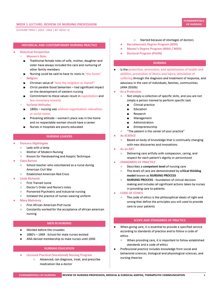 Review of Nursing Profession | PDF