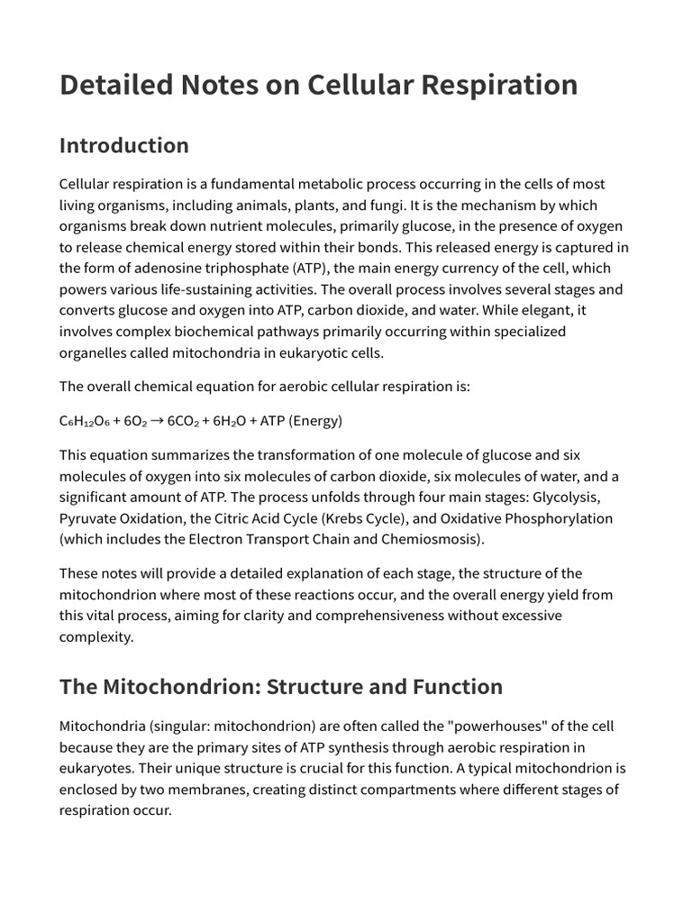 Cellular Respiration Notes | PDF | Cellular Respiration | Adenosine ...