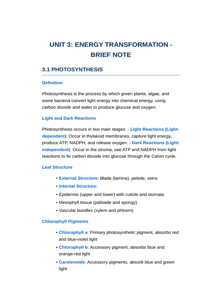Energy Transformation Note | PDF | Cellular Respiration | Photosynthesis