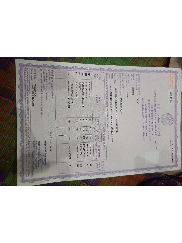 Palak Document Compressed | PDF