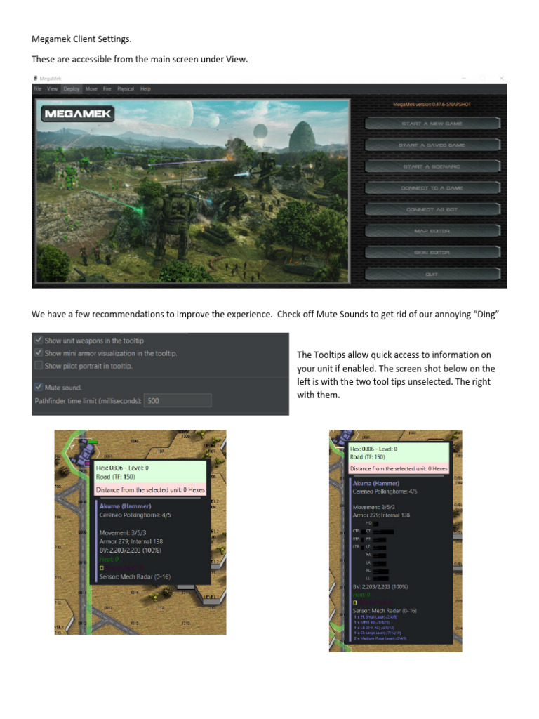 Megamek Client Settings | PDF | Graphical User Interfaces | Computing