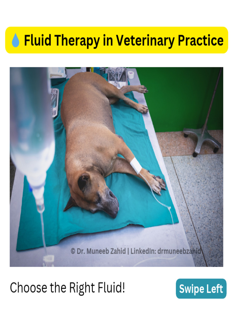 Fluid Therapy Guide for Veterinarians | PDF | Saline (Medicine ...