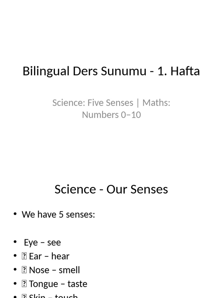 Bilingual Lesson: Senses & Numbers 0-10 | PDF