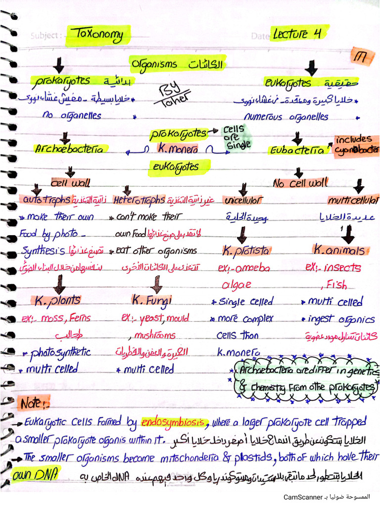 Taxonomy - DR Amr | PDF