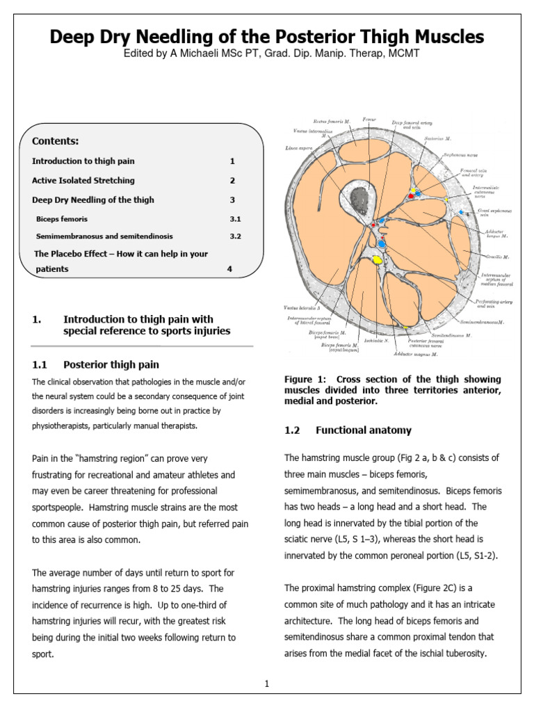 Notes Dry Needling of The Posterior Thigh | PDF | Knee | Myofascial ...