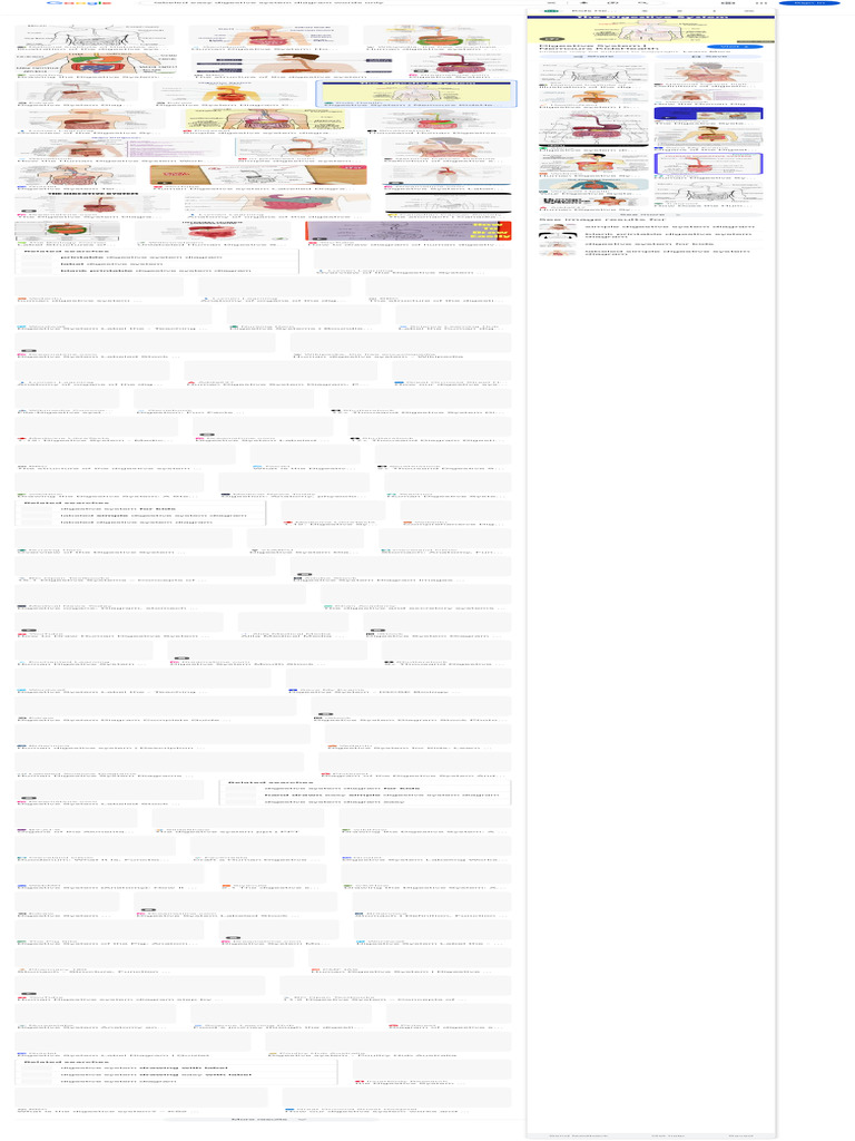Easy Labeled Digestive System Diagram | PDF | Human Digestive System ...