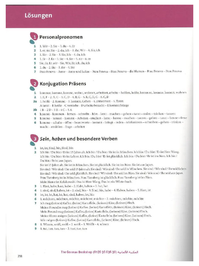 Grammatik Aktiv A1-B1 Lösungen | PDF