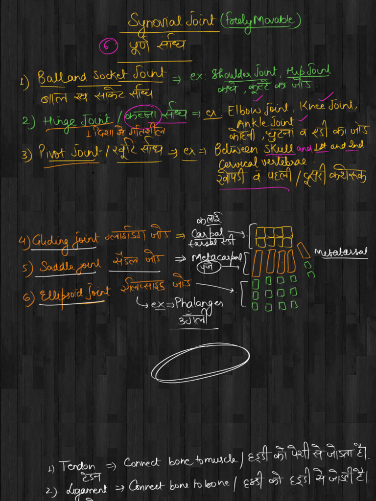 Skeletal System 03 (Class Notes) | PDF