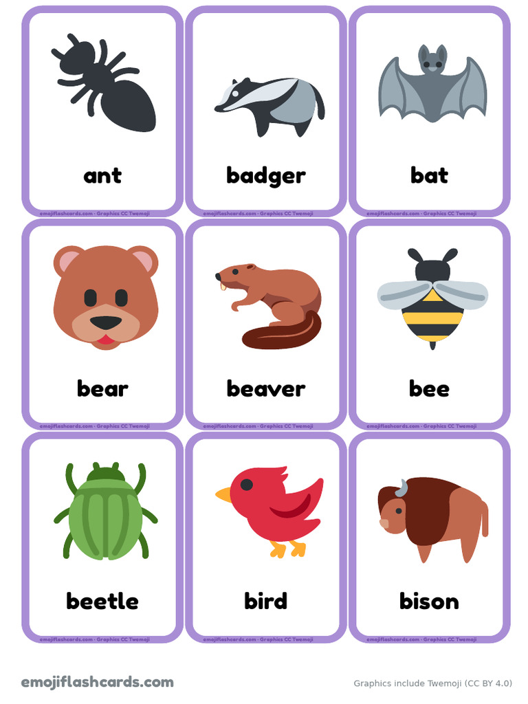 Us English Animals Small A4 Flashcards | PDF | Zoology