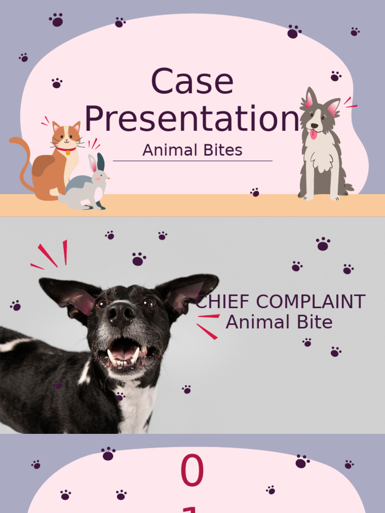 Animal Bite Case Presentation | PDF | Planets | Saturn