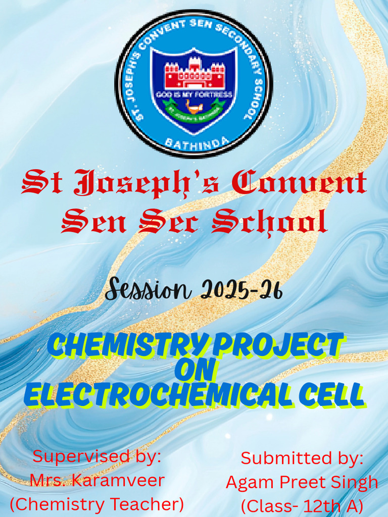 Agam's Chemistry Project On Electrochemical Cell | PDF | Electrode | Redox