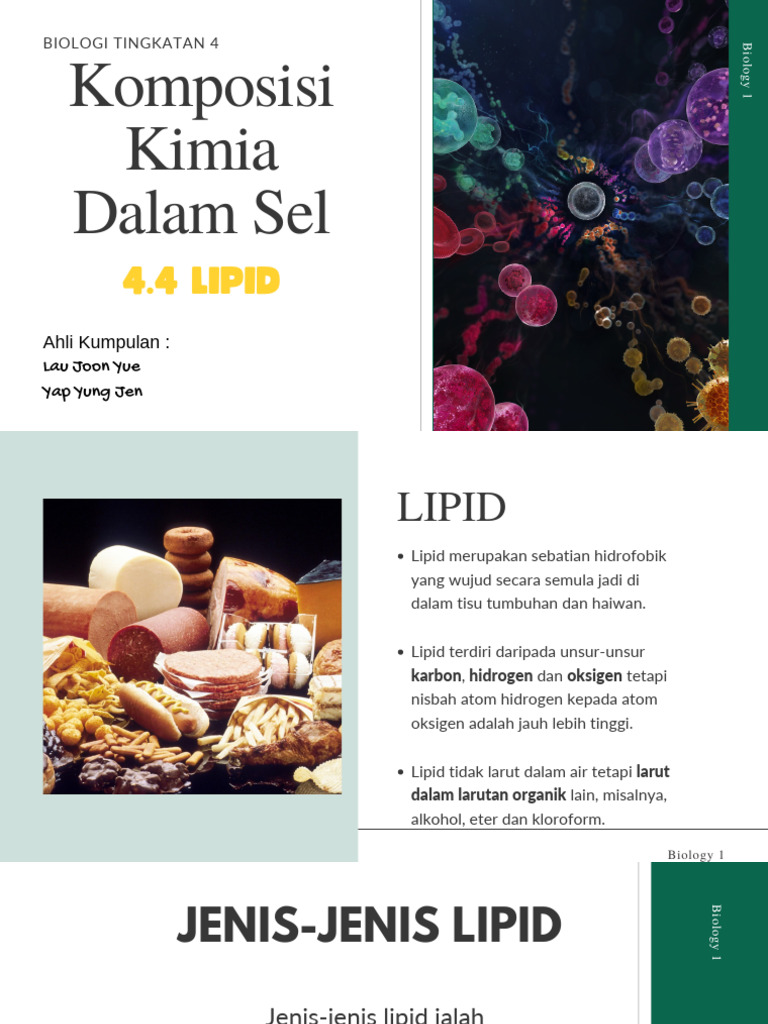 4.4 Lipid | PDF