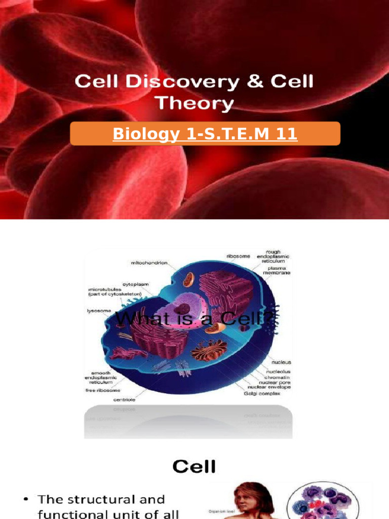 Bio Cell History | PDF