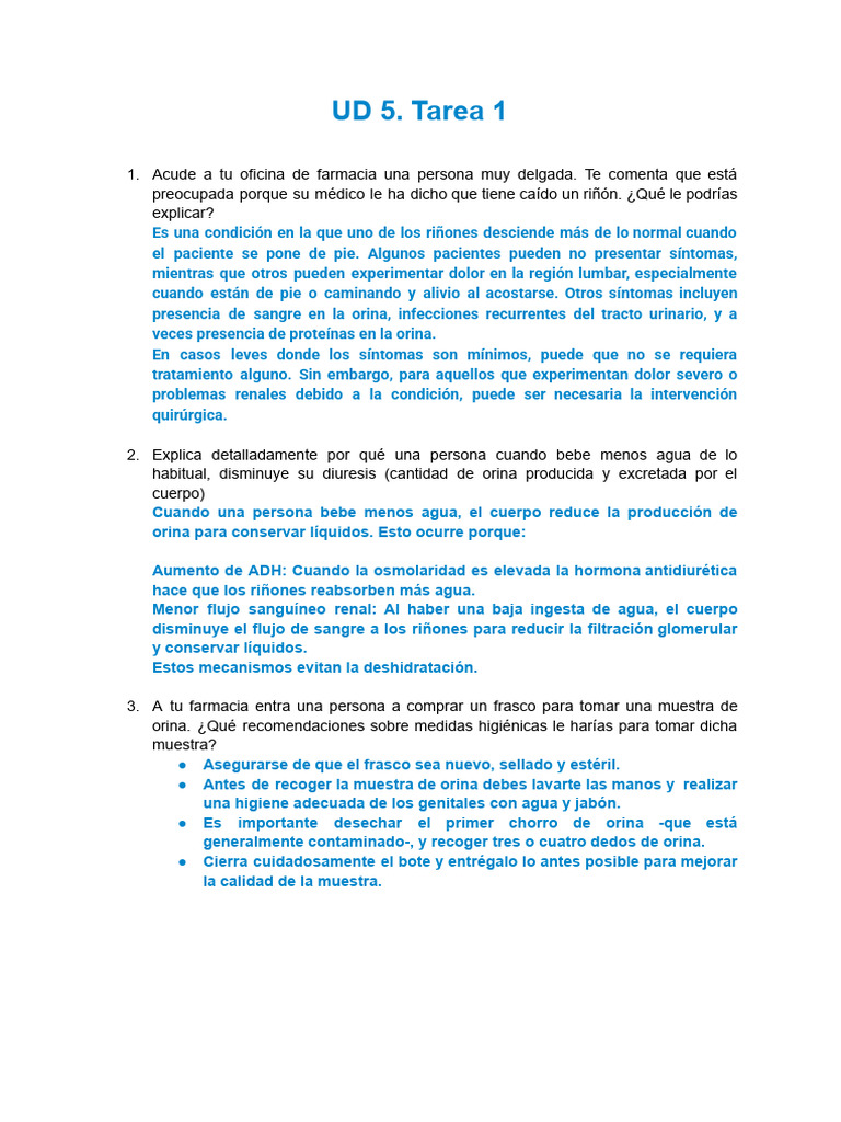 Nuria Bernal Hernández - Ud 5. Tarea 1 | PDF