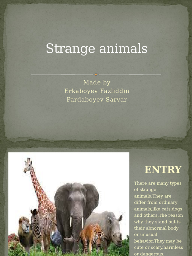 Strange Animals | PDF