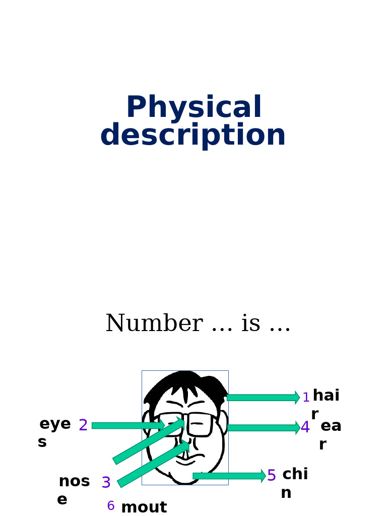 Description Physique Anglais | PDF | Human Head And Neck | Human Anatomy