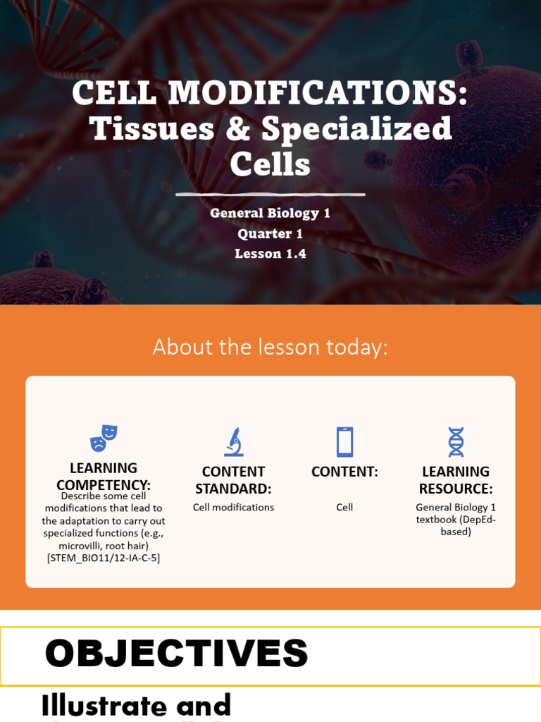 1 - 1.4 Cell Modifications - Tissues and Specialized Cells | PDF | White Blood Cell | Histology
