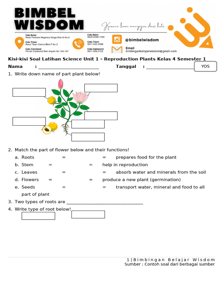 Science Unit 1: Plant Reproduction Quiz | PDF | Plant Stem | Leaf