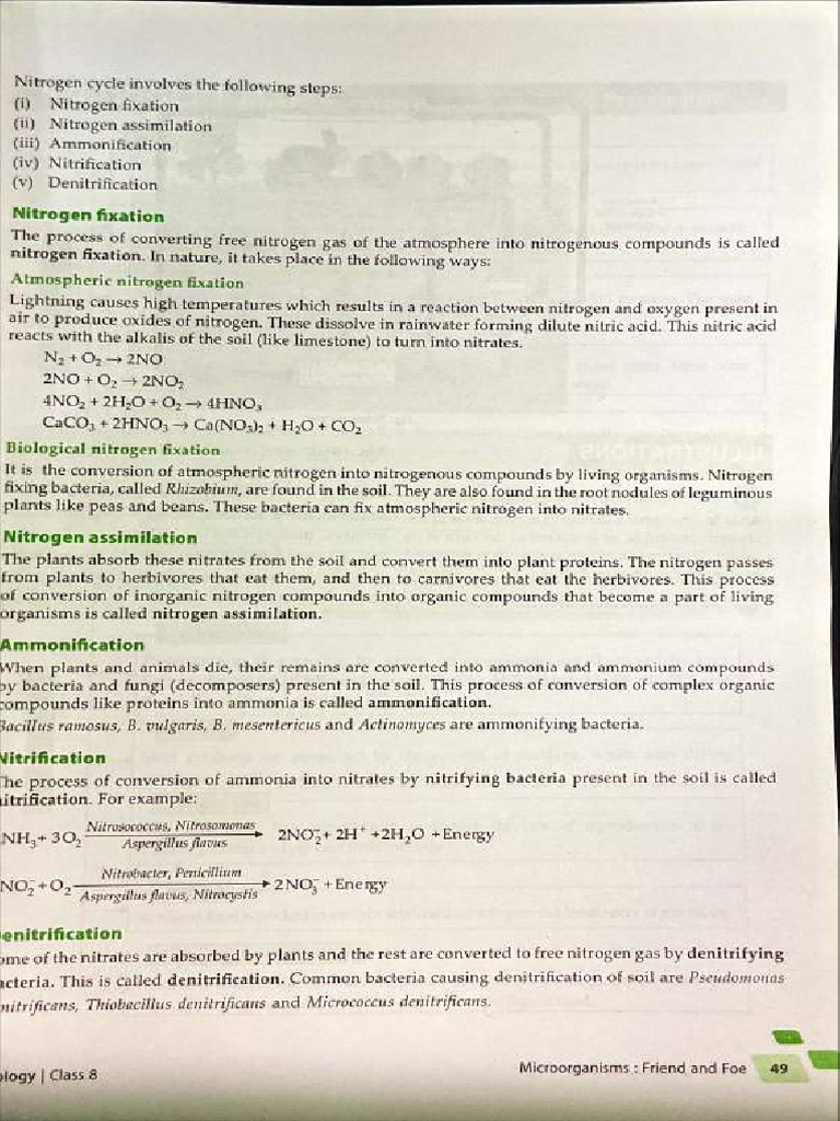 Bio Class 8 IMP-26 | PDF